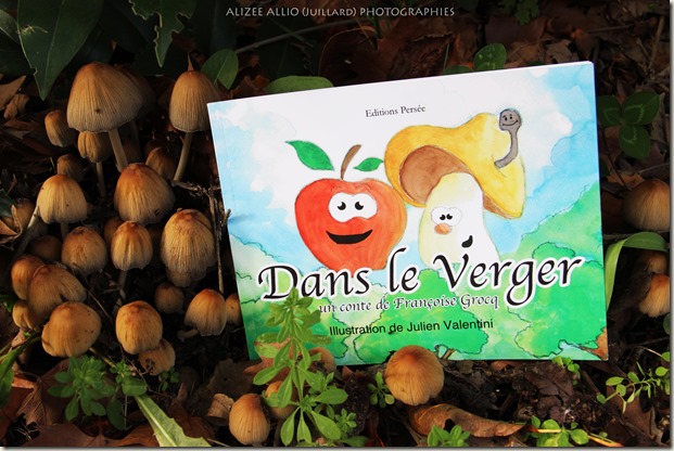 Chronique du livre Dans le verger de Françoise Grocq - Format Famille